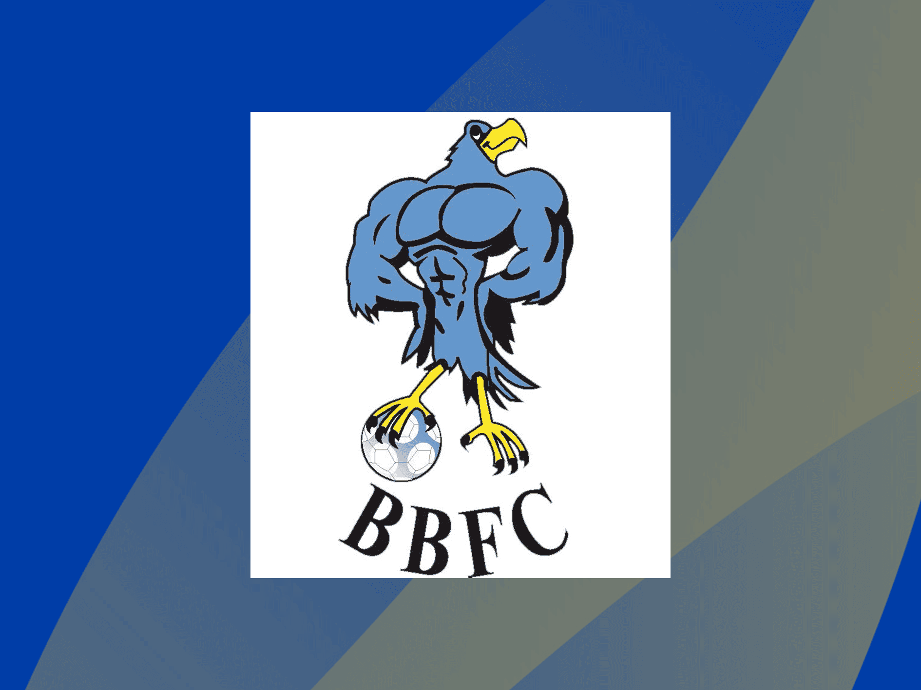 Brindabella Blues FC Summer 6's - Capital Football